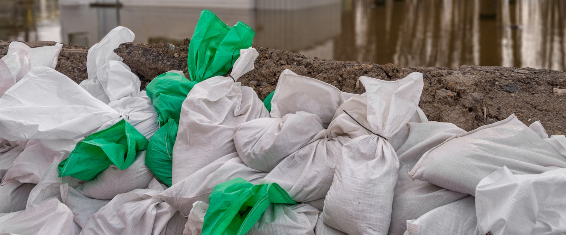 Building A Sustainable Future: Water Clean Up Services And Eco-Friendly ...